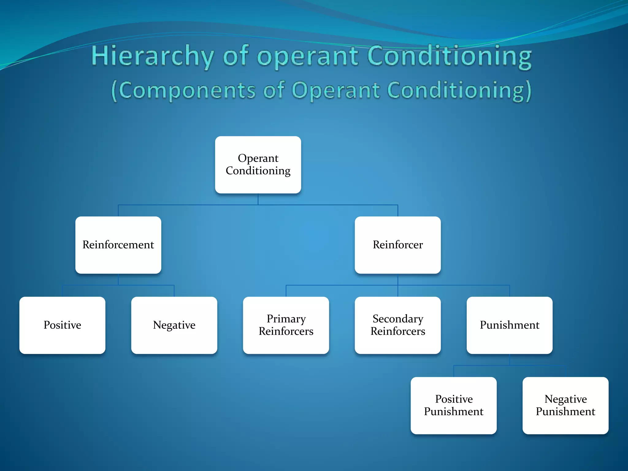 Operant Conditioning | PPTX
