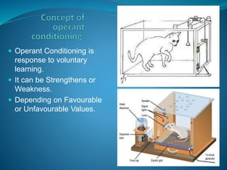 Operant Conditioning | PPTX