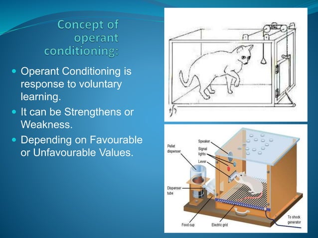 Operant Conditioning | PPT