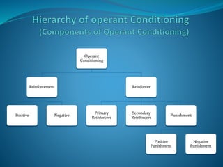 Operant Conditioning | PPTX