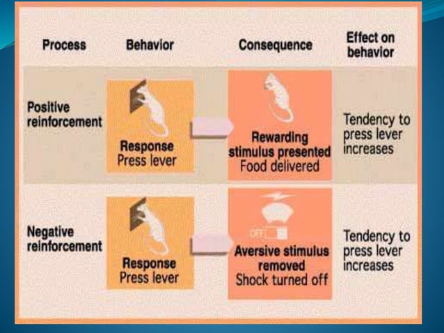 Operant Conditioning | PPT
