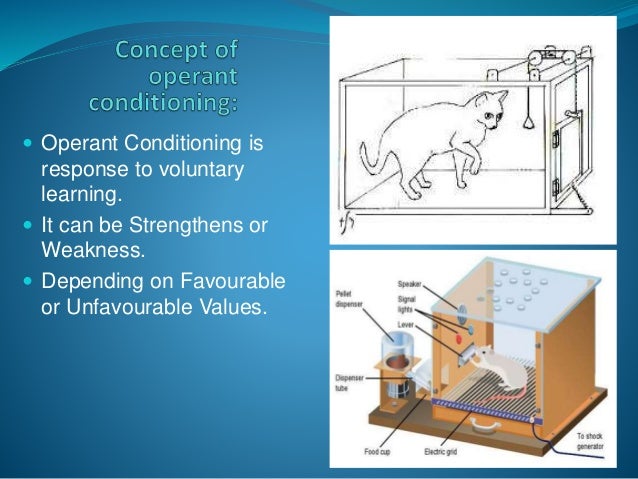 Operant Conditioning