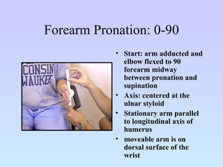 Elbow Flexion Goniometry