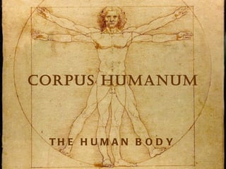 Roman expressions vi | PPT