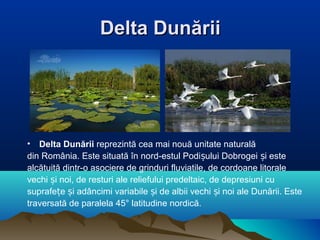 Romania | PPT