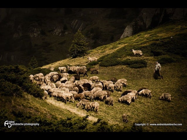 Romania viata la tara (vb) | PPS