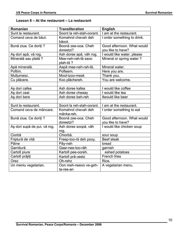 Basic Romanian Language Course | PDF