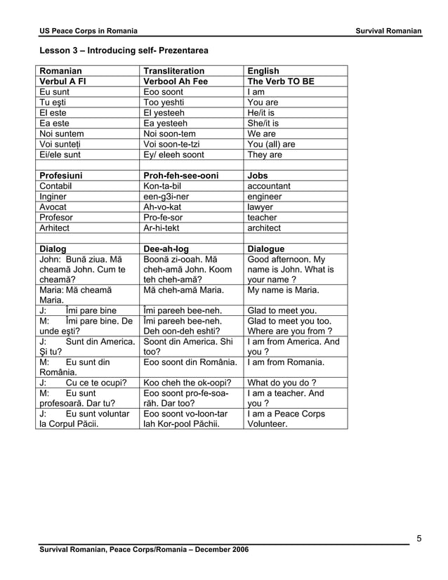 Basic Romanian Language Course | PDF