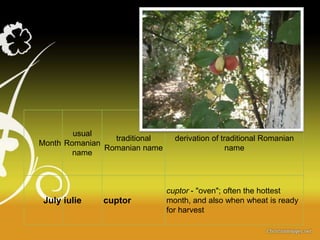 Romanian months | PPT