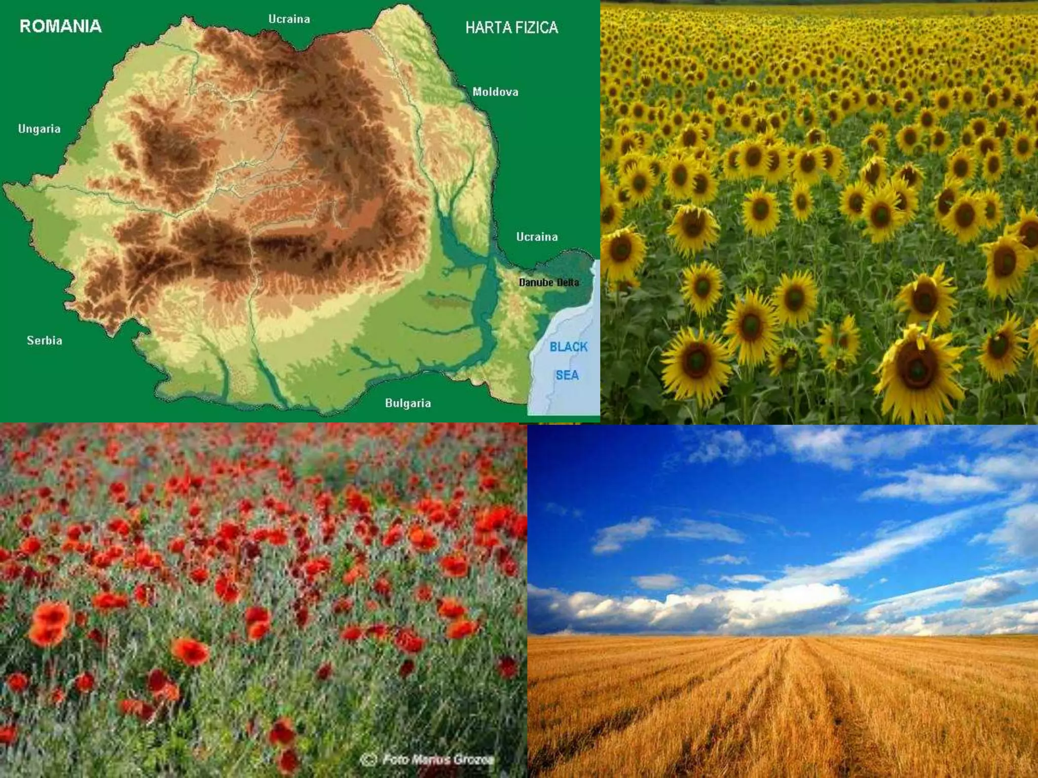 ROMANIA. Il territorio | PPTX