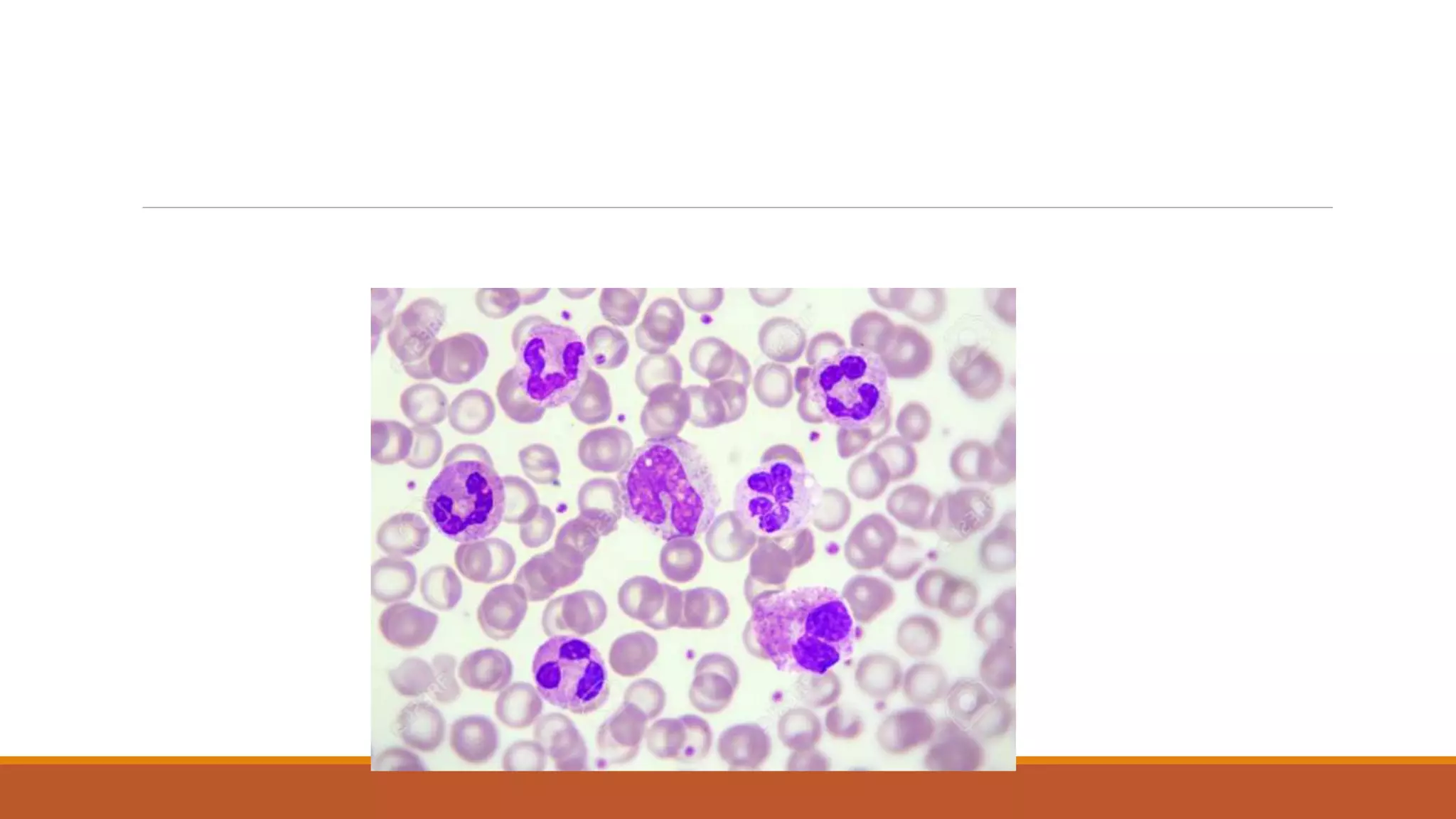 Romanowsky stain | PPTX