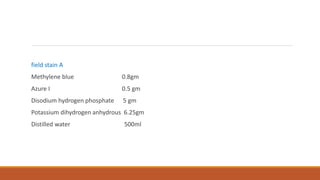 Romanowsky stain | PPTX