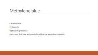 Romanowsky stain | PPTX