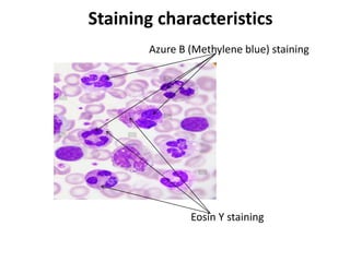 ROMANOWSKY STAINS-1.pptx
