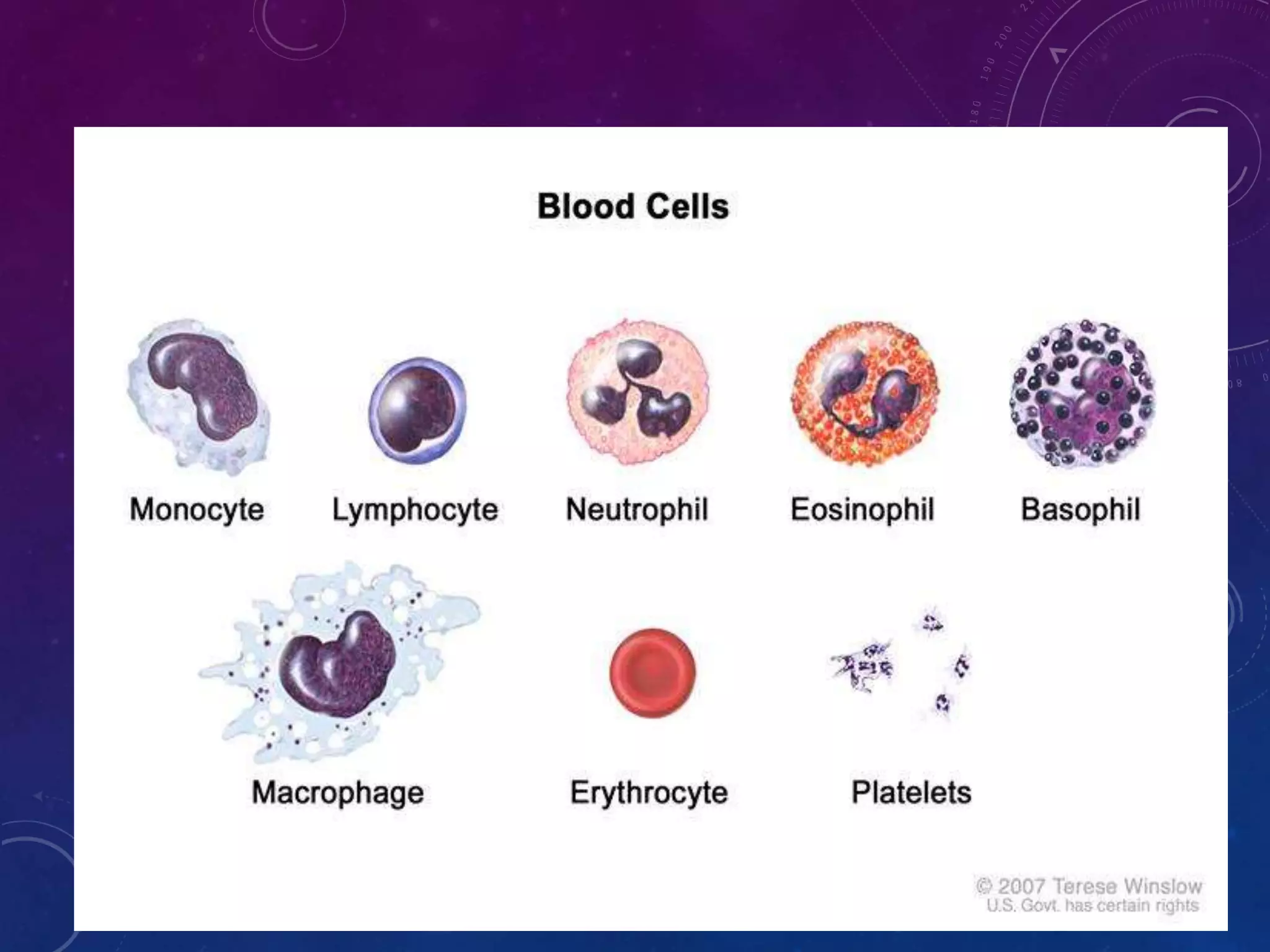 Romanowsky stains. Dr. Abhinav Golla , Associate Professor , Lab ...