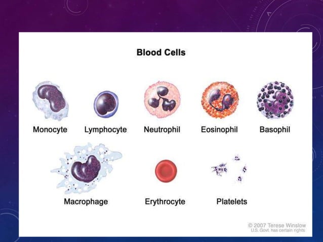 Romanowsky stains. Dr. Abhinav Golla , Associate Professor , Lab ...
