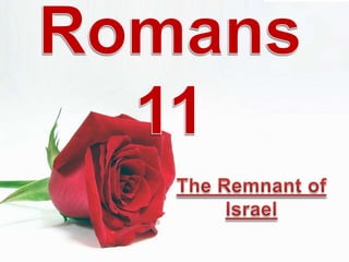 Romans 11 | PPT