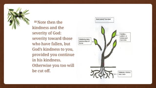 Romans 11:11-36 -- A Sunday School Lesson | PPT