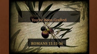 Romans 11:11-36 -- A Sunday School Lesson | PPT