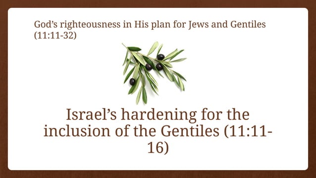 Romans 11:11-36 -- A Sunday School Lesson | PPT