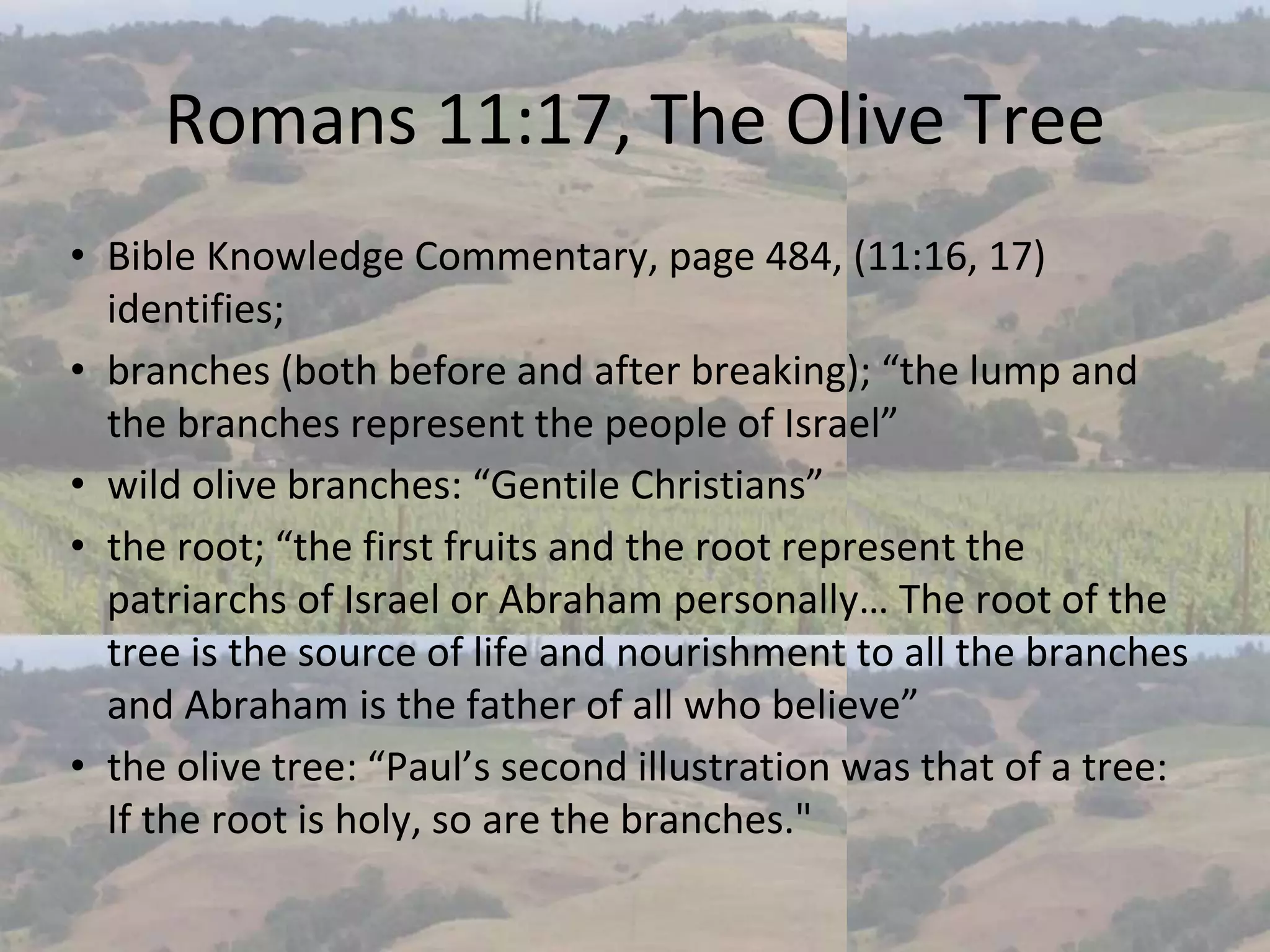 Romans Chapter 11, Replacement Theology, The olive tree, John Piper ...