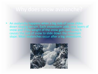 Roman's Snow Presentation | PPT