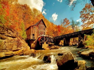 Romantic autumn scenes | PPSX