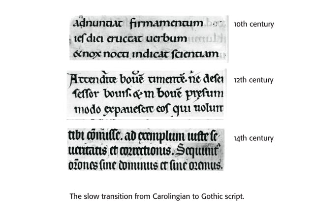 Calligraphy and Epigraphy | PDF