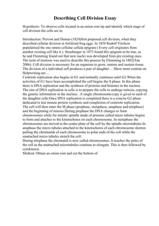 Romeo And Juliet Comparison Essay. Romeo and Juliet analysis essay 600 Words - PHDessay.com