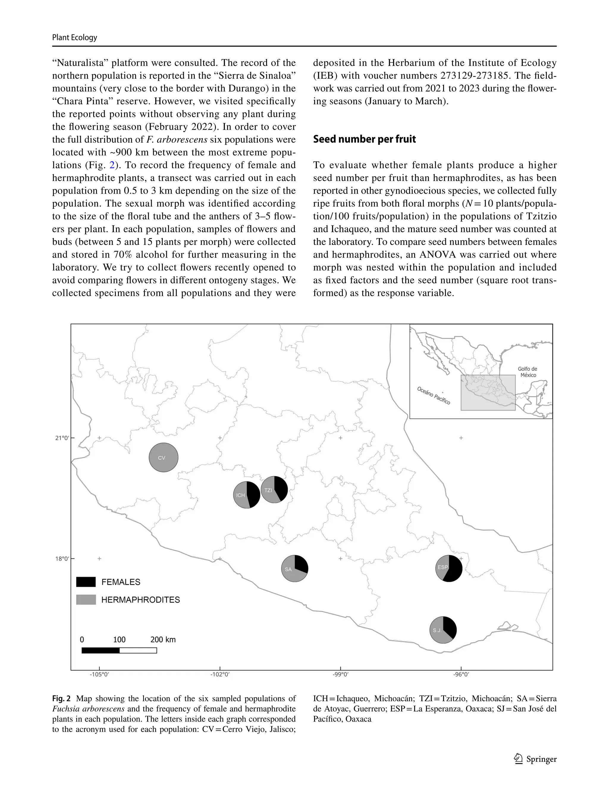 Romero et al 2024. Gynodioecy Fuchsia arborescens.pdf