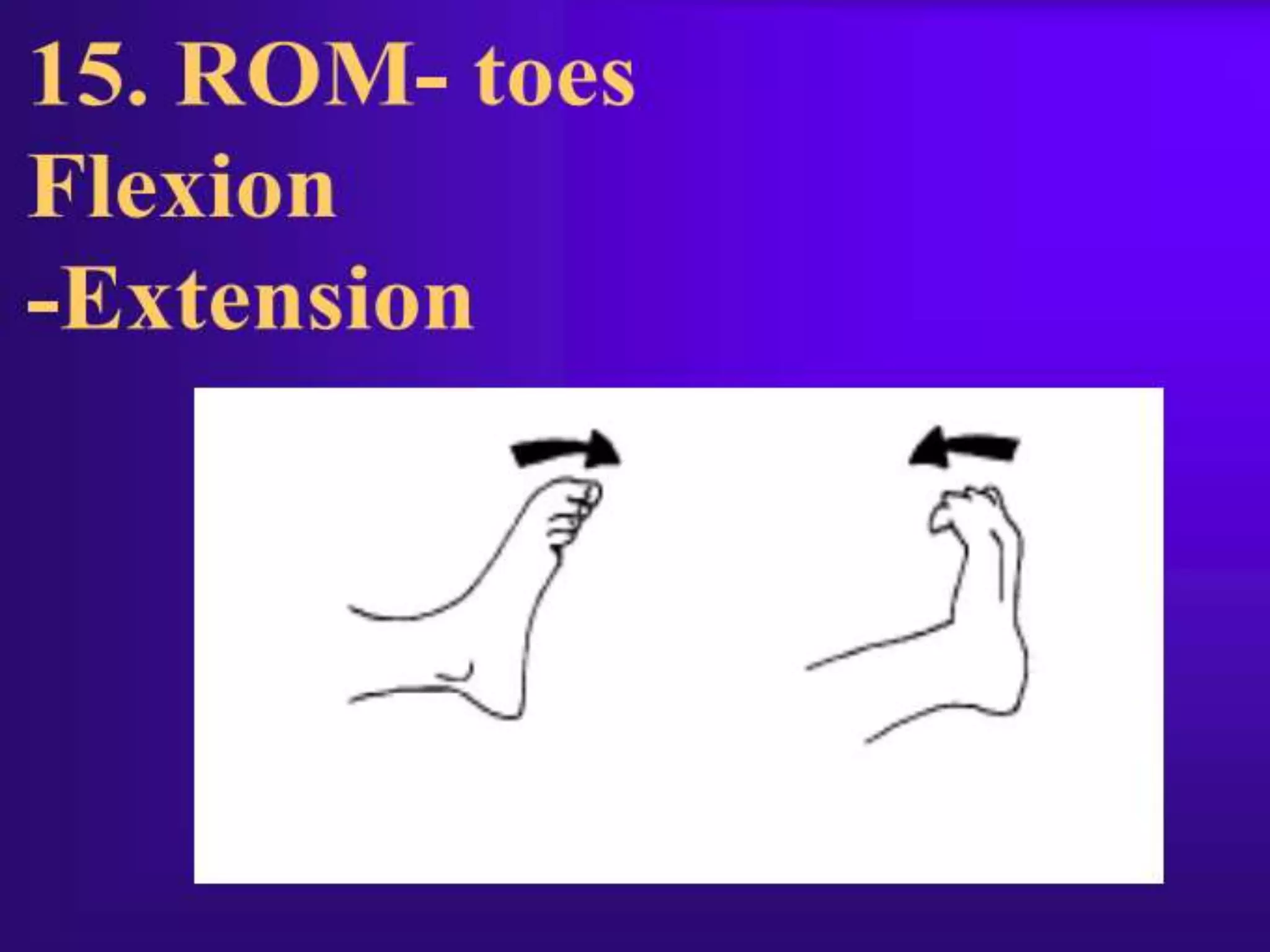 ROM Exercise | PPTX