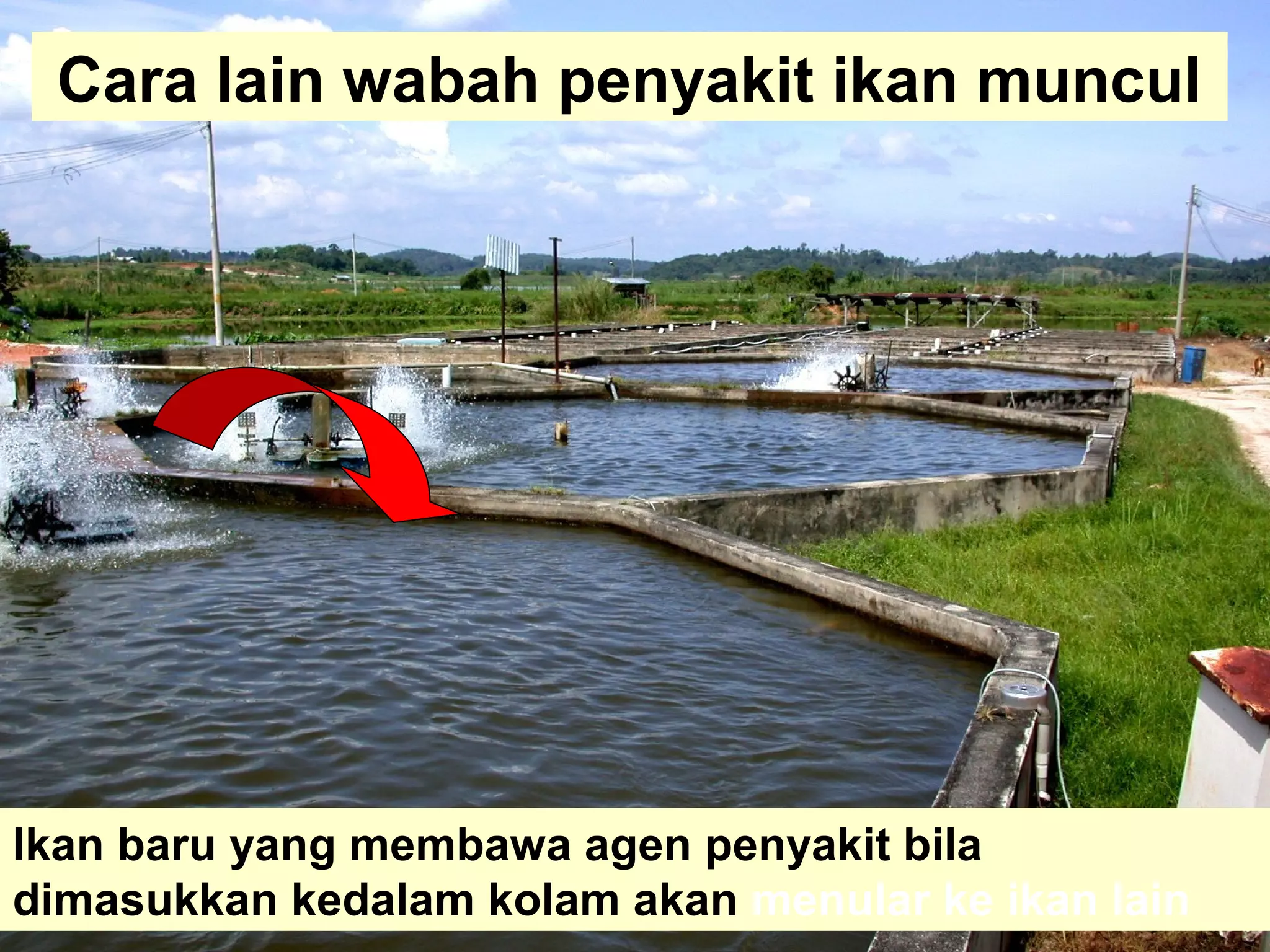 Balai Budidaya laut Batam | PPT