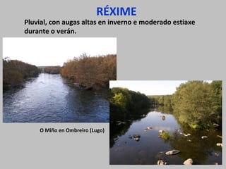 Río Miño | PDF