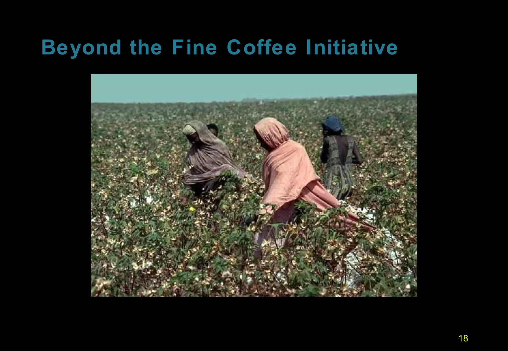 Ethiopian Fine Coffees, Ron Layton | PPT