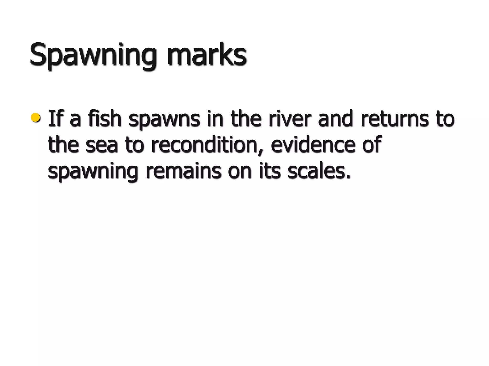 Part 2: Salmon scale reading; 'Problem scales', Erosion, Spawning Marks ...