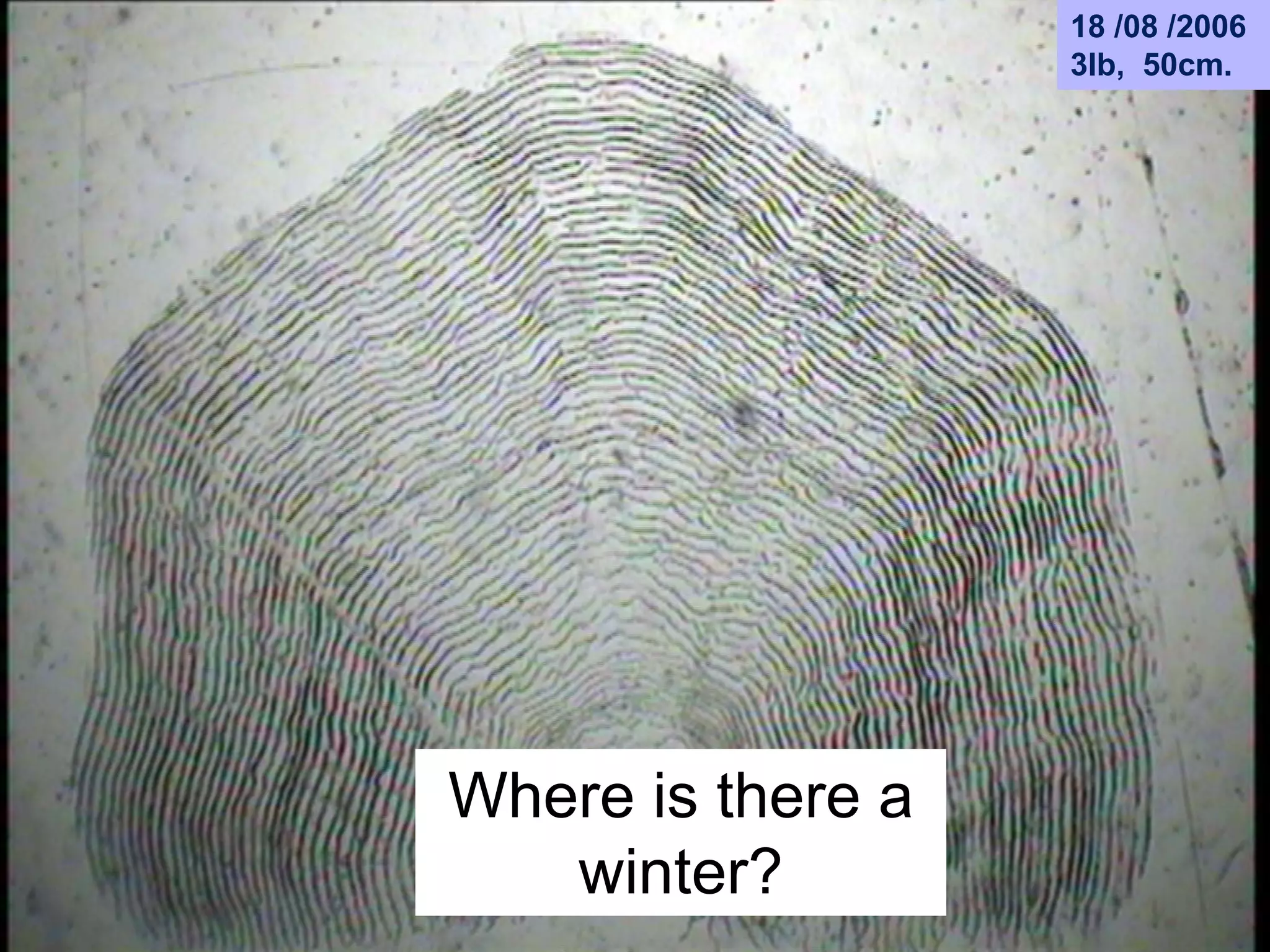 Part 2: Salmon scale reading; 'Problem scales', Erosion, Spawning Marks ...