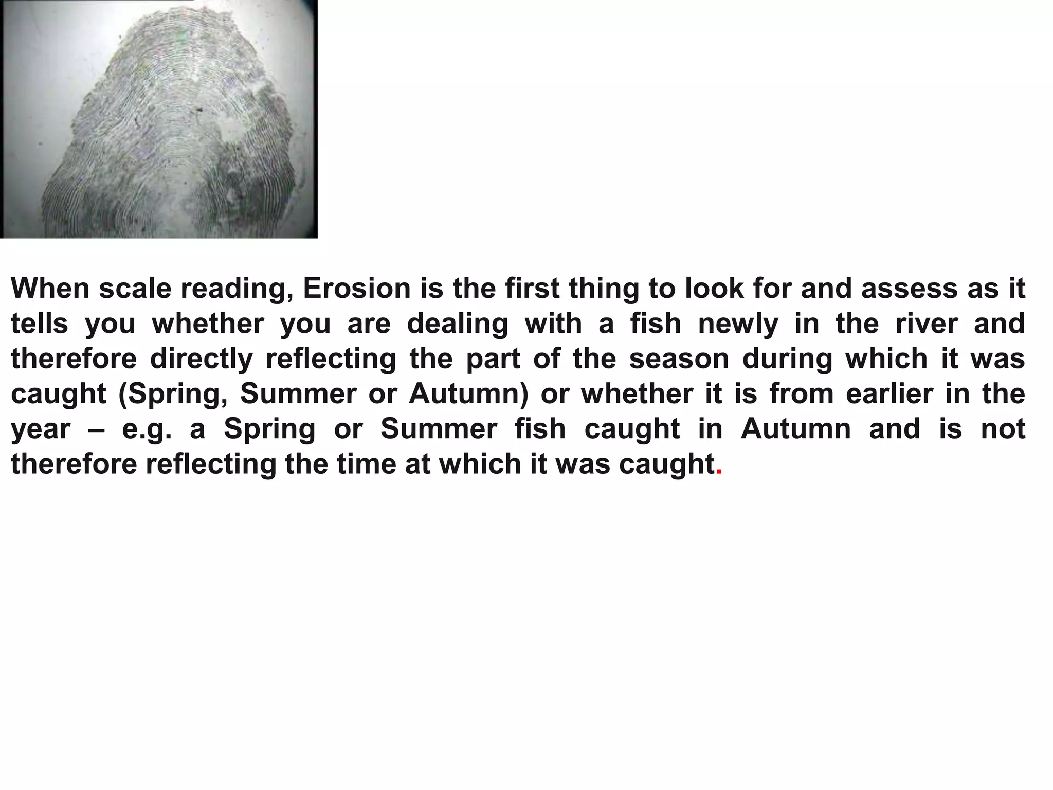 Part 2: Salmon scale reading; 'Problem scales', Erosion, Spawning Marks ...