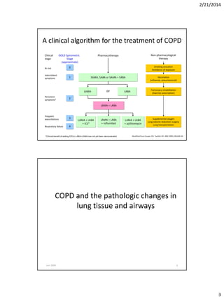 Bronchodilators in COPD | PDF