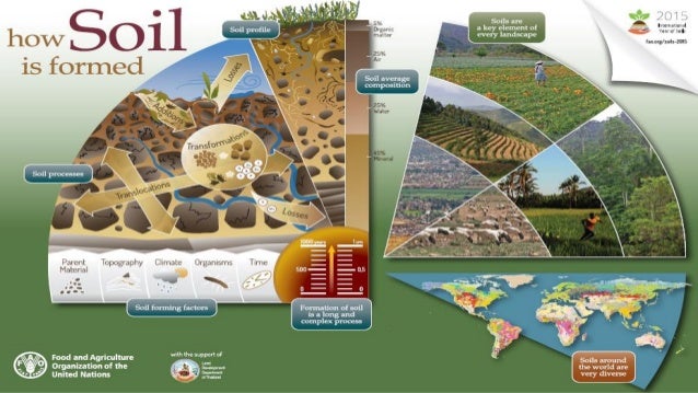 Global Soil Partnership