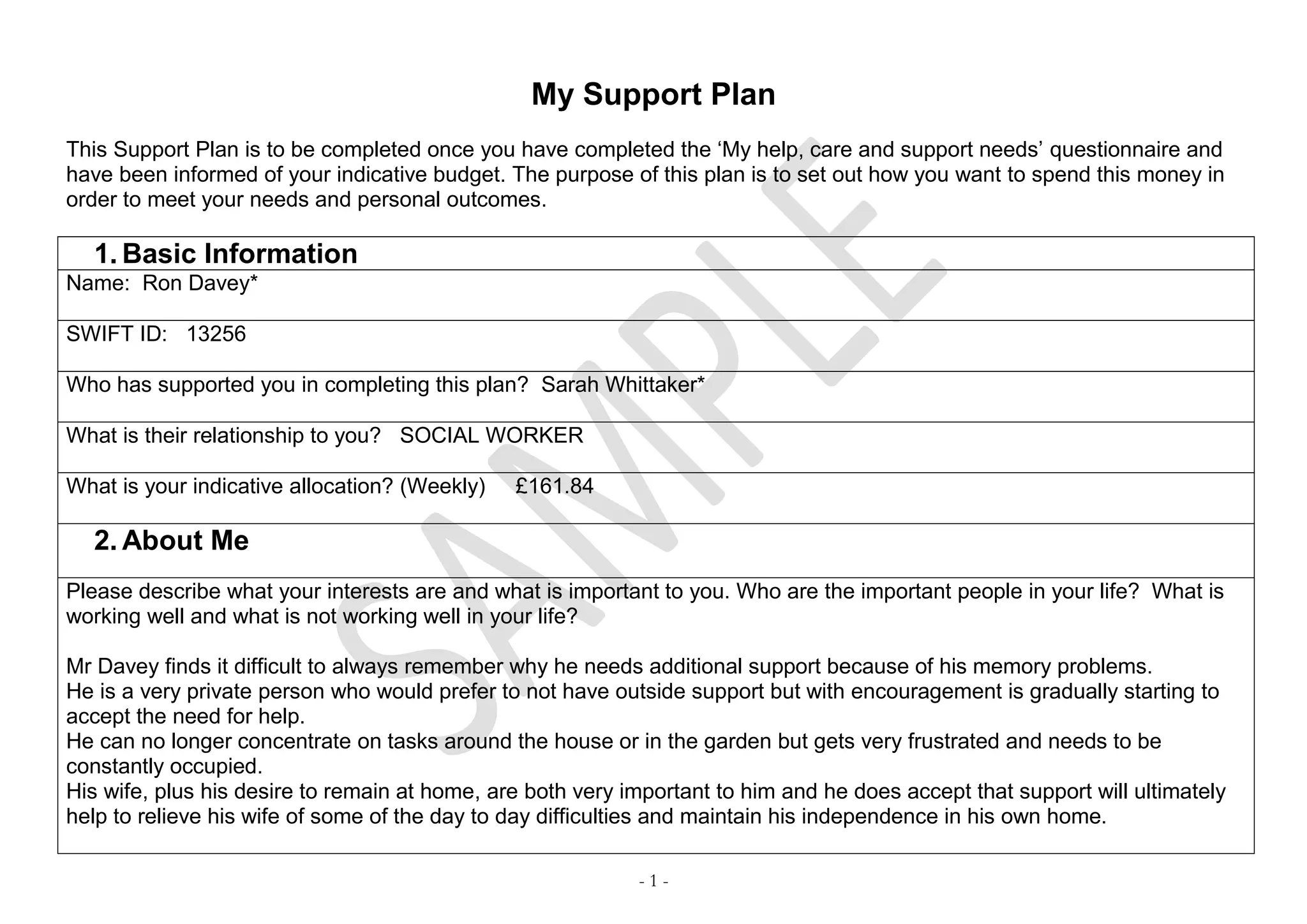 Ron davey support plan | PDF