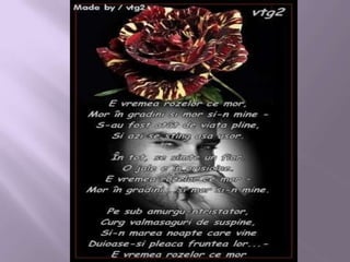 Rondelul rozelor ce mor | PPTX