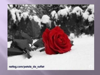 Rondelul rozelor ce mor | PPTX