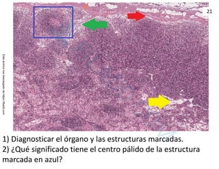 Rondin numero 1 arreglado de la uba. pdf | PDF