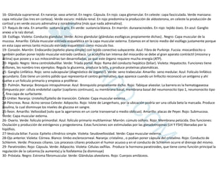 Rondin numero 1 arreglado de la uba. pdf | PDF