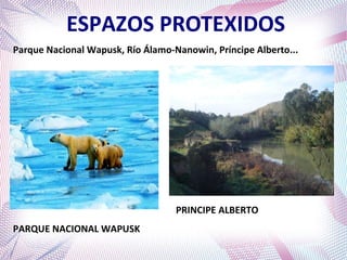 Río Nelson | PPT