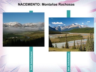 Río Nelson | PPT