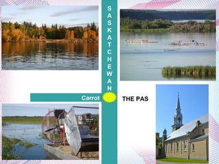 Río Nelson | PPT