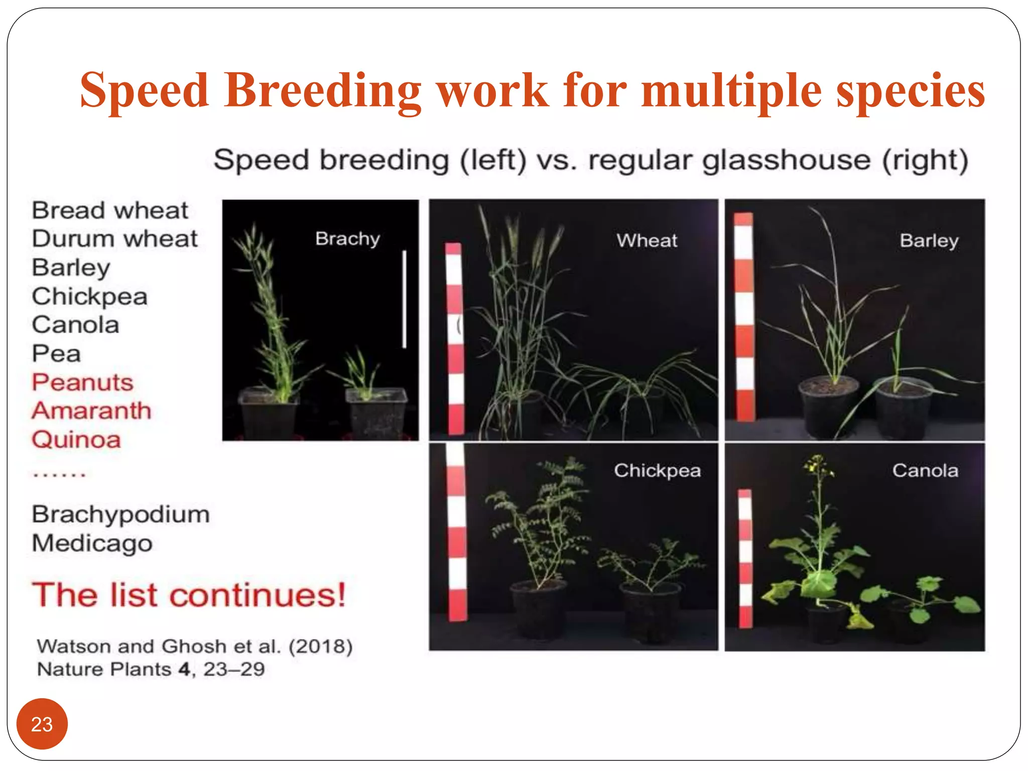 SPEED BREEDING AND ITS IMPLICATIONS IN CROP IMPROVEMENT | PPTX