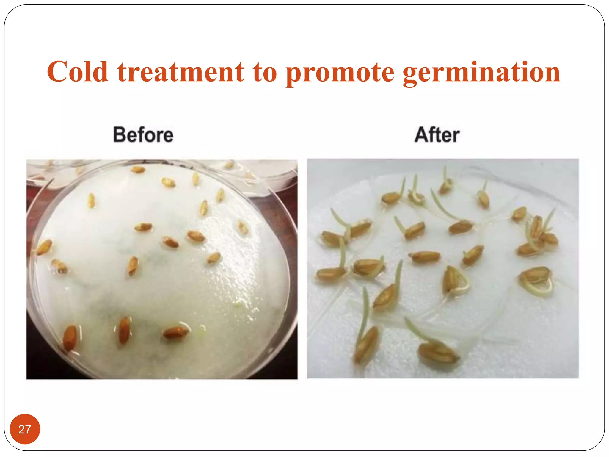 SPEED BREEDING AND ITS IMPLICATIONS IN CROP IMPROVEMENT | PPTX