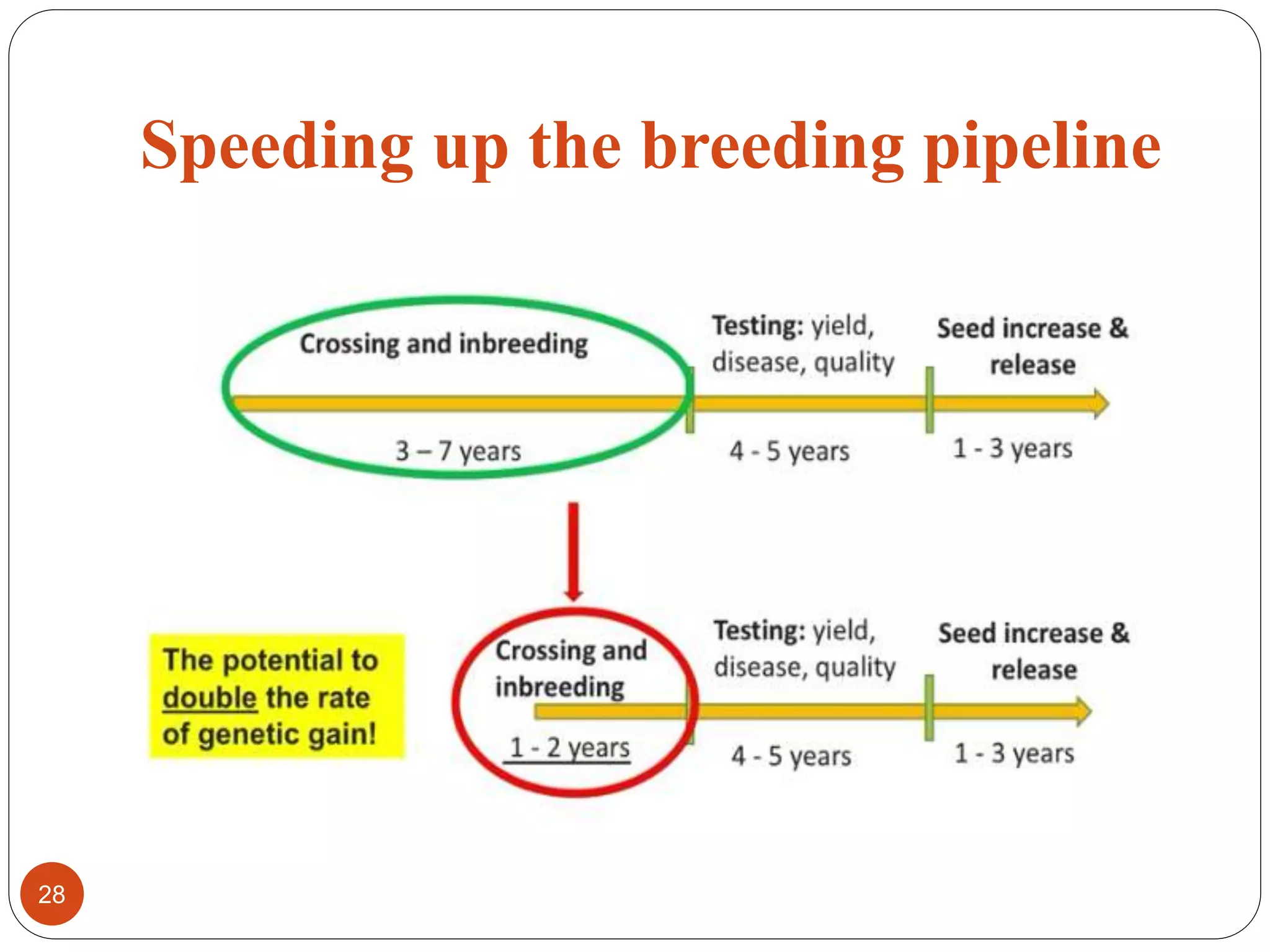SPEED BREEDING AND ITS IMPLICATIONS IN CROP IMPROVEMENT | PPTX